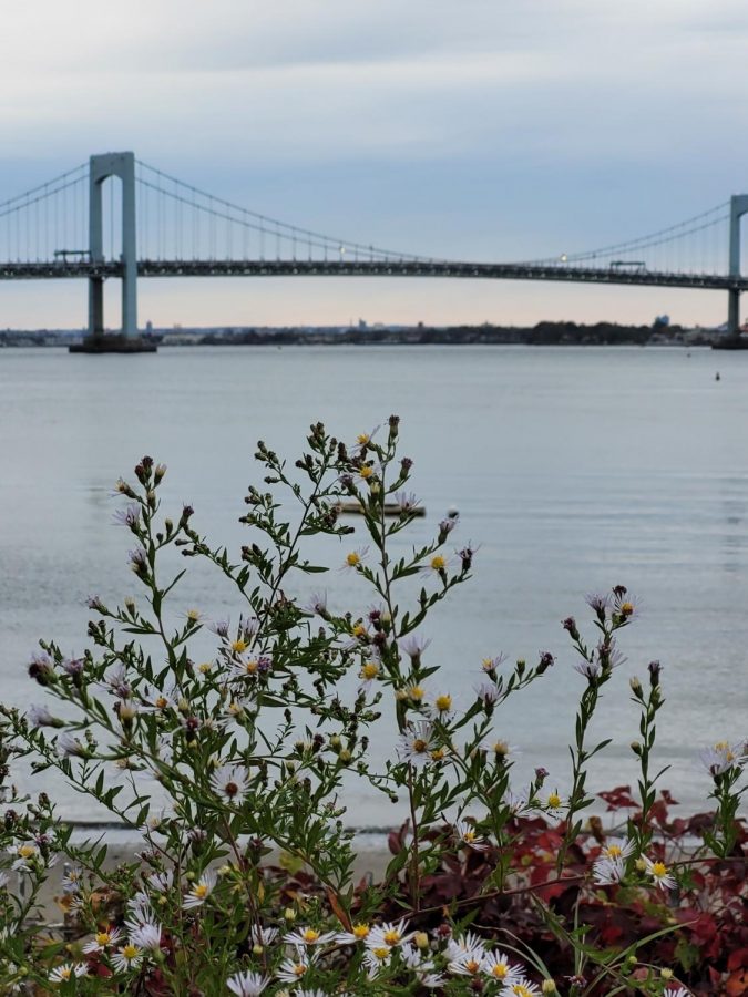 A Historical Tour of a NYC Neighborhood: Bayside – The Science Survey