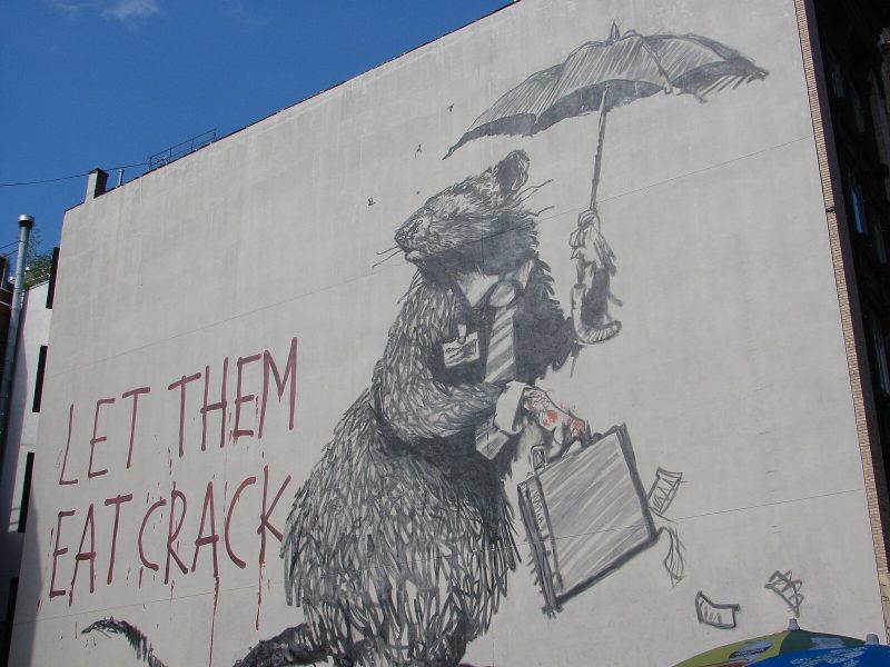 Rats 101: An Investigation Into a Cultural Mystery of New York City ...